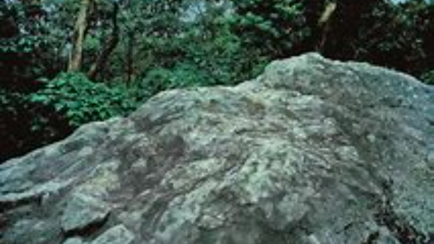 知る人ぞ知る！日本全国のレアなパワースポット10選｜bigon｜coconalaブログ